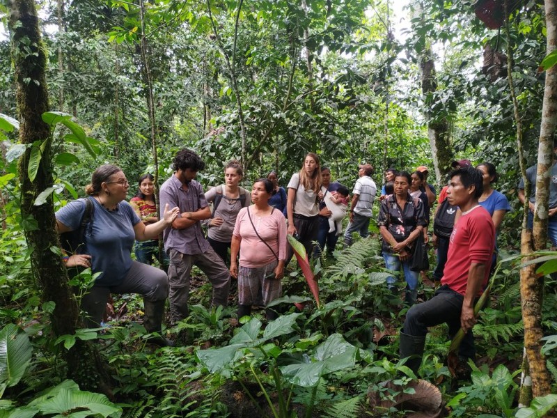 Participatory reforestation in the Ecuadorian Amazon, Tena 2021 – A ...