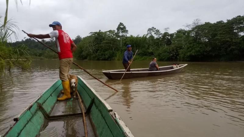 EQUATEUR - Tena 2021/2022, reforestation participative en Amazonie ...