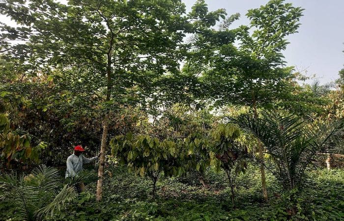 Le projet prend fin au Togo dans le village de Tové Banu et les ...