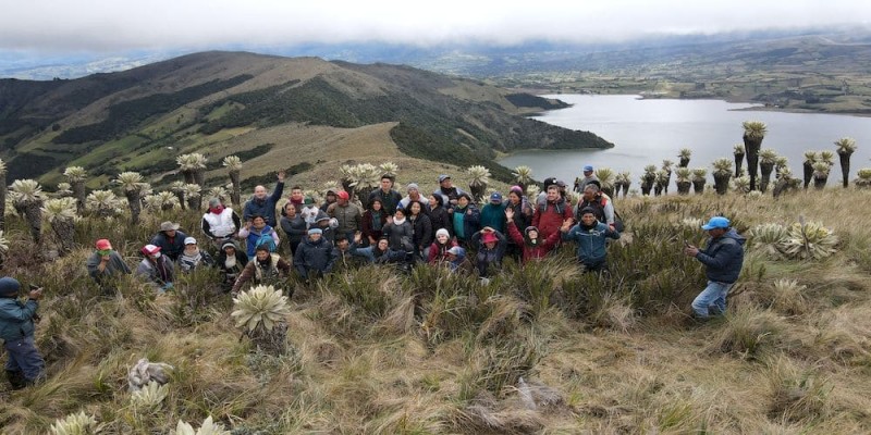 Colombia – reforestation in the Alto Andes to conserve páramos and ...