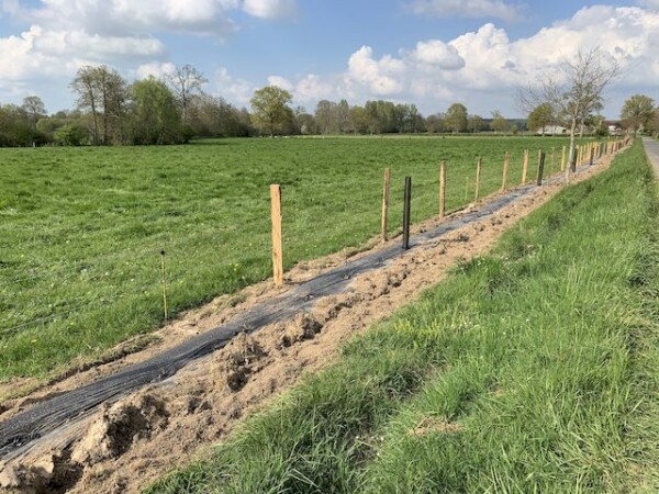 Planting hedgerows for the climate in Normandy, France - A TREE FOR YOU