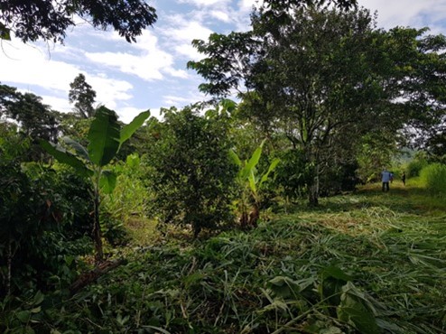 Le projet à Tena en Équateur prend fin et les objectifs sont atteints ...