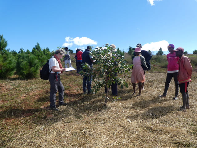 The project is coming to an end and the objectives achieved and exceeded! – A TREE FOR YOU