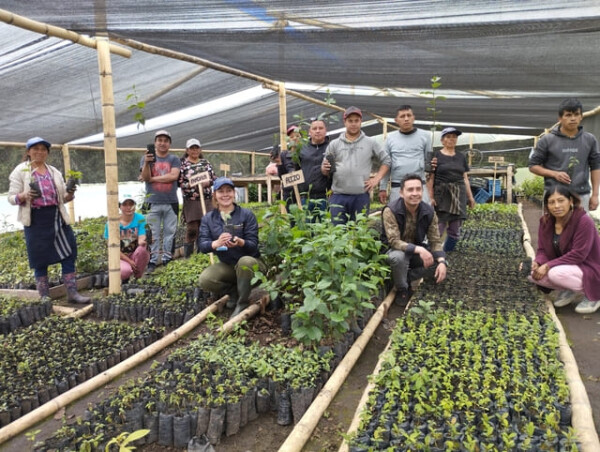 Colombia 2024 – reforestation in the Alto Andes to conserve páramos and ...