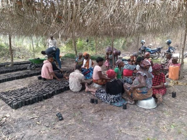 Agroforesterie et foresterie dans 10 villages et 5 hameaux de la vallée du fleuve Zio au Togo ...